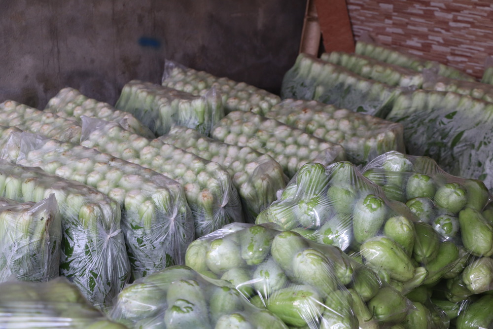 “Pagsibol”: Food security program for low-income communities | BPI